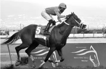 Runaway Algo steals a run on disappoint­ing I Am Fred - PressReader