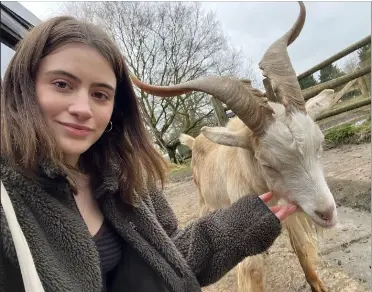 ‘I tried new goat encounter for an unbleatabl­e day out’ - PressReader