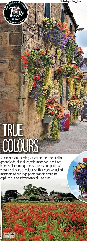 TRUE COLOURS - PressReader