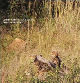 MY FAVOURITE THINGS TO DO - PressReader