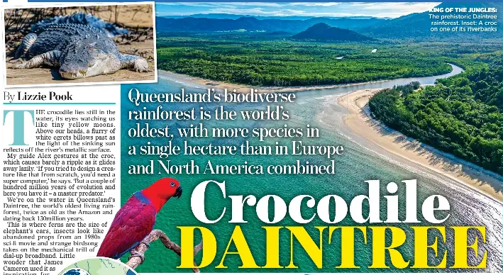 Crocodile DAINTREE - PressReader