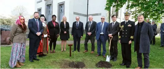 Ginkgo tree planted in Pembroke Dock rekindles historic link with Japan ...