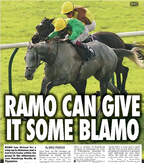ALL OF TODAY’S TOP RACING TIPS RAMO CAN GIVE IT SOME BLAMO - PressReader