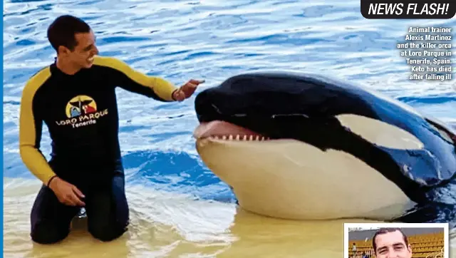 ORCA DIES AFTER INCEST HORROR! - PressReader