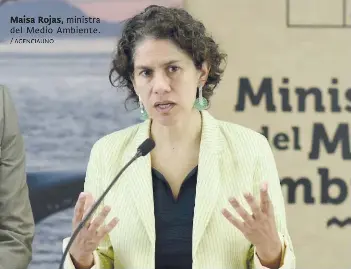 Dominga: indicios de otro rechazo y los intentos por evitarlo - PressReader