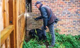 ‘I could work every day of the week’: the life of a UK pet detective as thefts rise - PressReader