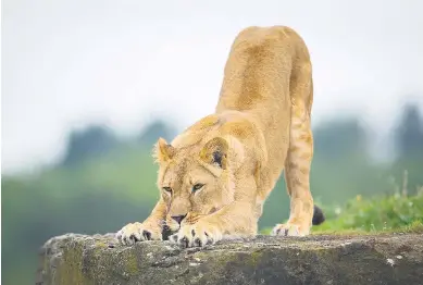 Belief in future heads south - PressReader