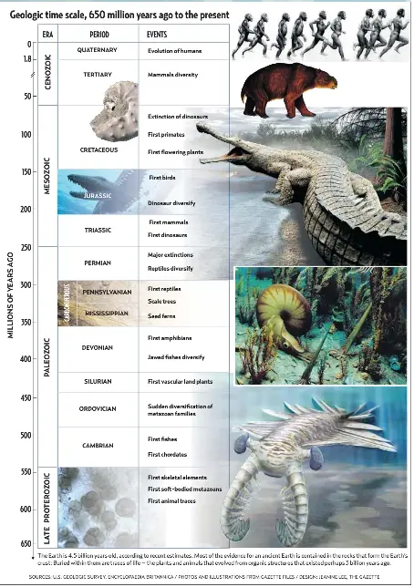 Quaternary Period Humans