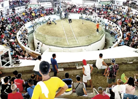 ILOILO GETS STRICT ON COCKFIGHTS - PressReader