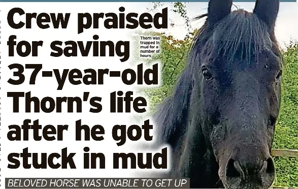 Crew praised for saving 37-year-old Thorn’s life after he got stuck in ...