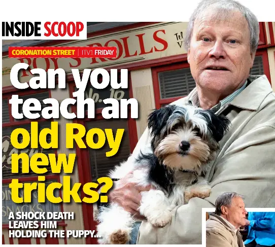 Roy the reluctant dog-sitter… - PressReader