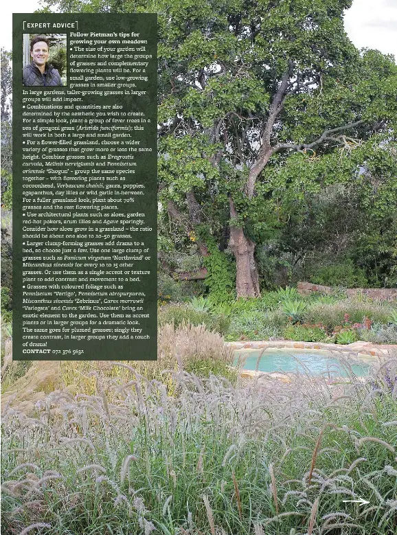 [ EXPERT ADVICE] - PressReader