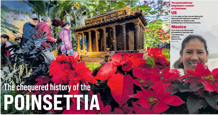 The chequered history of the POINSETTIA - PressReader