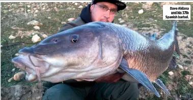 37lb BARBEL - PressReader