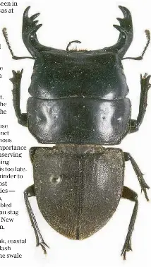 Vanishing from our world - PressReader