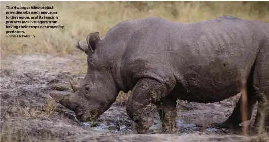 From poached to protected - PressReader