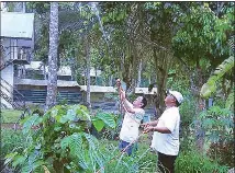 Field tests show effectiven­ess of cocolisap pesticide - PressReader