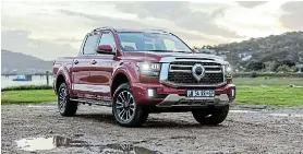 New GWM P500 double-cab range details revealed | The Herald (South ...