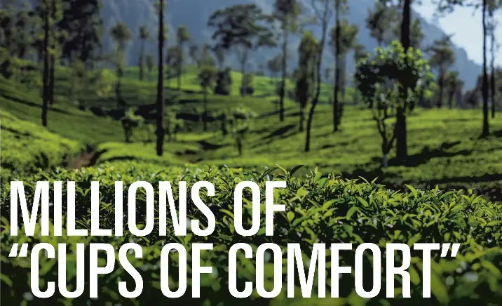 MILLIONS OF “CUPS OF COMFORT” - PressReader