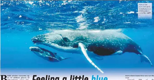 Feeling a little blue - PressReader