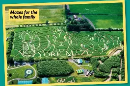 YORK MAZE, York - PressReader