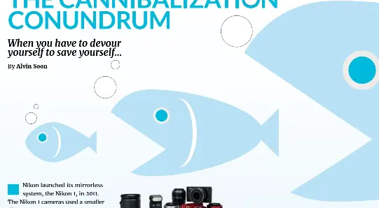 The Cannibaliz­ation Conundrum - PressReader