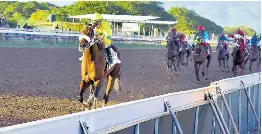 Rough Entry looks a shoo-in for Chairman’s Trophy. - PressReader
