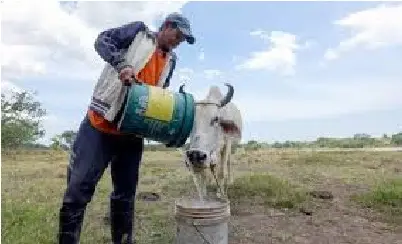 El Niño to affect over 70 provinces in next 3 months - task force - PressReader