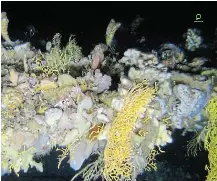 Is the Rietbok wreck still there? Revisiting the mystery of a lost ...