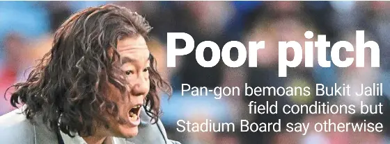 Poor pitch - PressReader