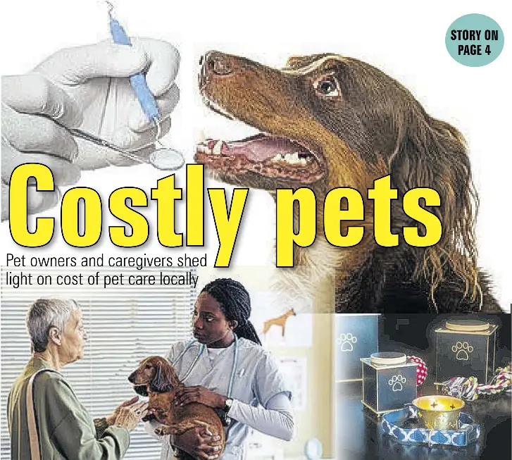 Costly pets - PressReader