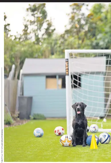 ‘Peter was too nice growing up and he knows it’ - PressReader