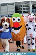 Mascots jump at chance to help charity - PressReader