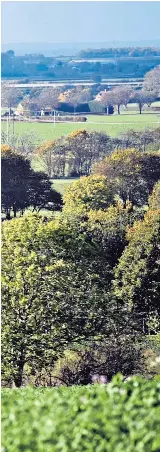 ‘It’s like a dictatorsh­ip’: Ed Miliband’s solar war is coming to ...