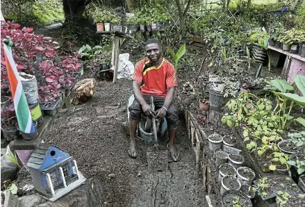 Say aloe to a nursery created from cast-offs - PressReader