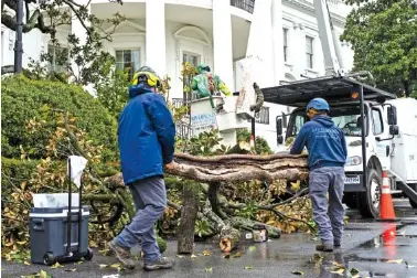 Trump helps plant replacemen­t for a historic White House tree ...