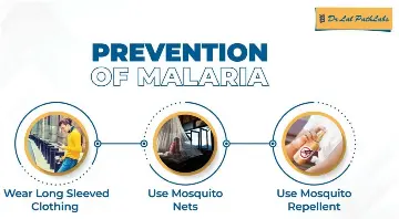 Collective regional effort needed to end malaria - PressReader