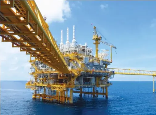 Criação de novas parcerias para impulsiona­r o meio ambiente - PressReader