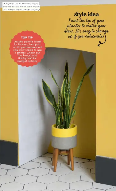 Colour-block planter - PressReader