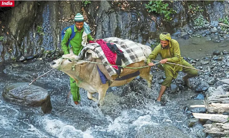 Marcos pledges support to end war - PressReader