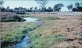 Cussen Park: Transforma­tion - PressReader