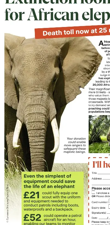 Extinction looming for African elephants - PressReader