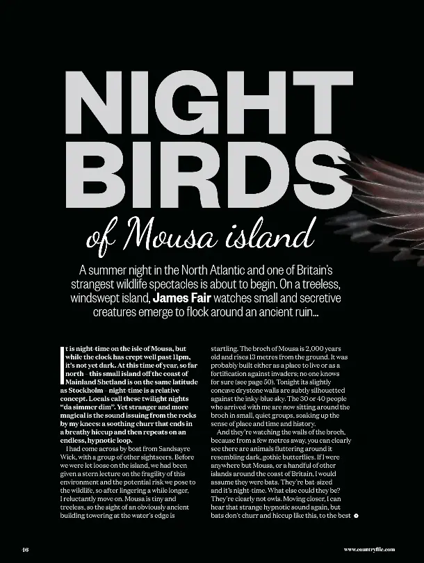 NIGHT BIRDS OF MOUSA - PressReader