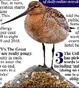 5 things we learned this week - PressReader