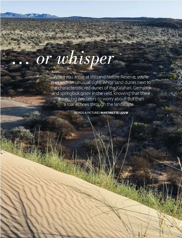 Witsand’s whispering dunes - PressReader