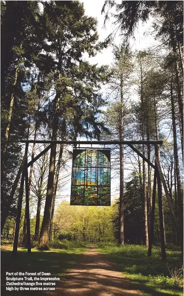 CATHEDRAL IN THE FOREST - PressReader