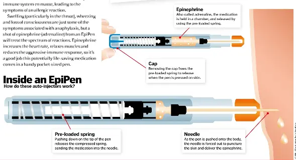 Inside an Epipen - PressReader