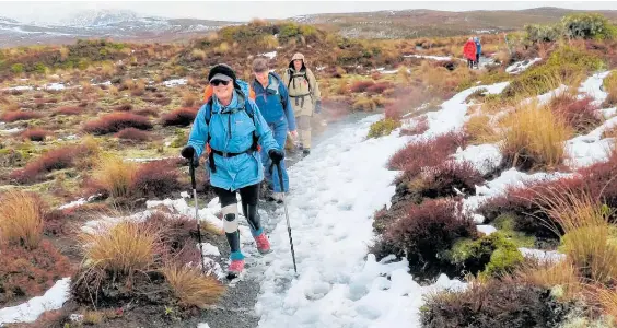 Monday Walkers - PressReader