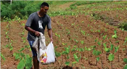 KESHWAN, THE RISK-TAKER - PressReader