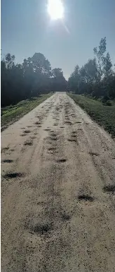 Paving of Erica Road: Wilderness Heights - PressReader